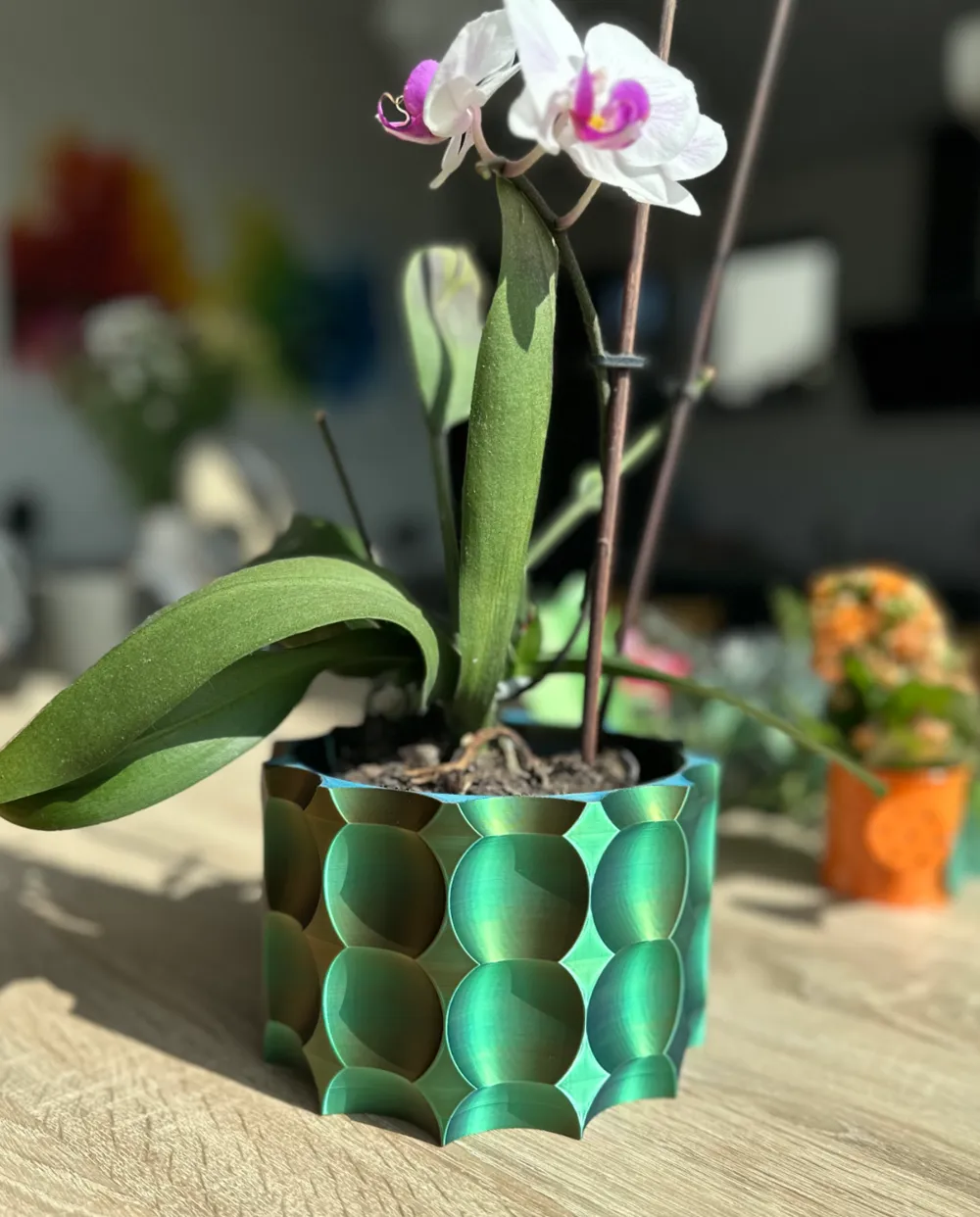 Design modern flowerpot vase planter by kisik20 - MakerWorld