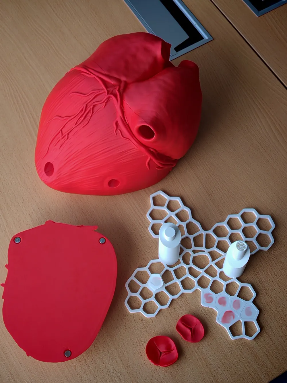 Customizable base for human heart 250% - Free 3D Print Model - MakerWorld