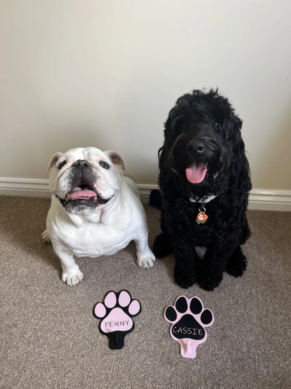 Paw Print Lead & Collar Holder by Sully MakerWorld: Download Free 3D Models