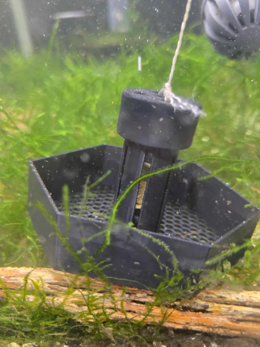Snail Trap With food holder by LKreations MakerWorld: Download Free 3D ...