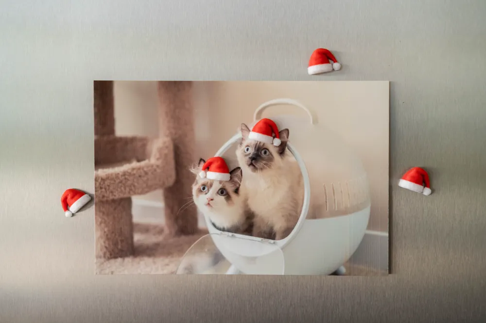 Christmas Santa Hat Magnet (Customizable) - Free 3D Print Model ...