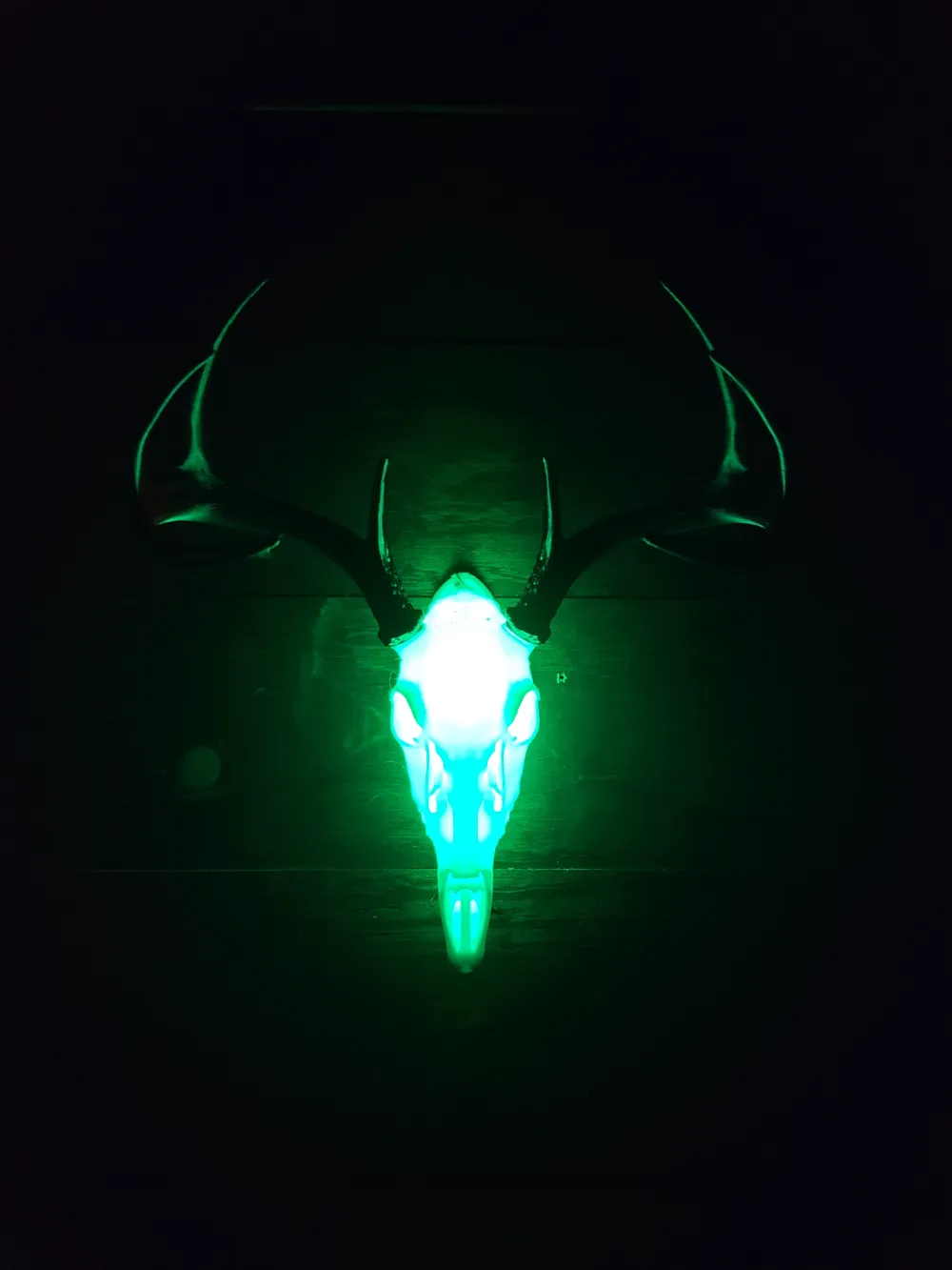 Deer Skull Wall Light by dtm247 - MakerWorld