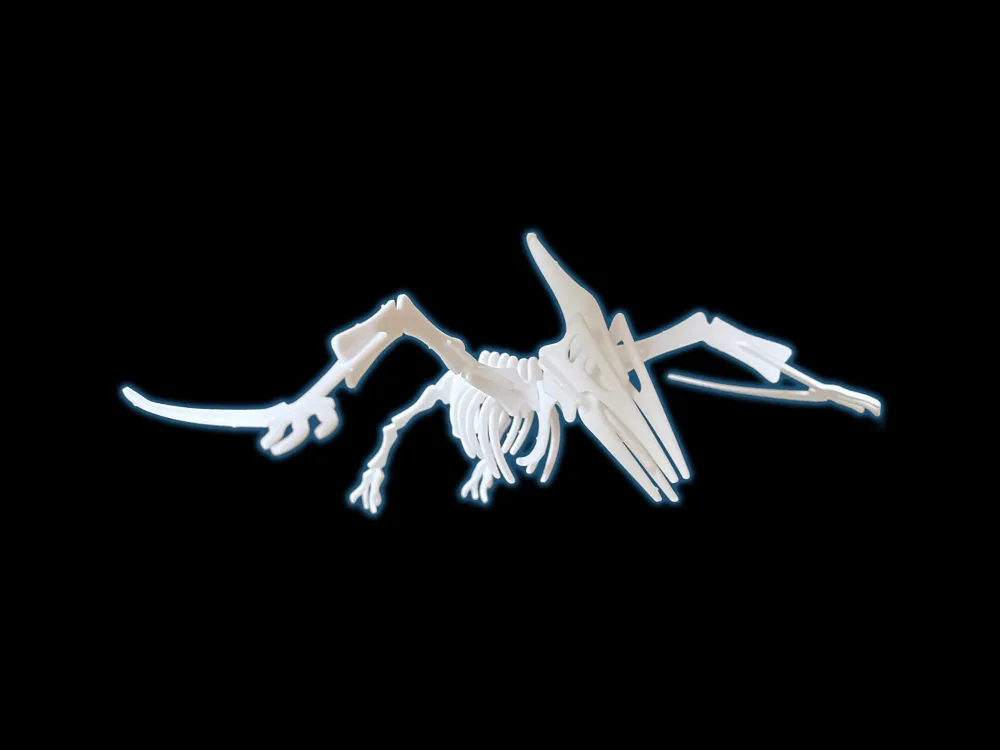 Pteranodon Dinossauro Kit Card - DinoCards - Modelo gratuito para ...
