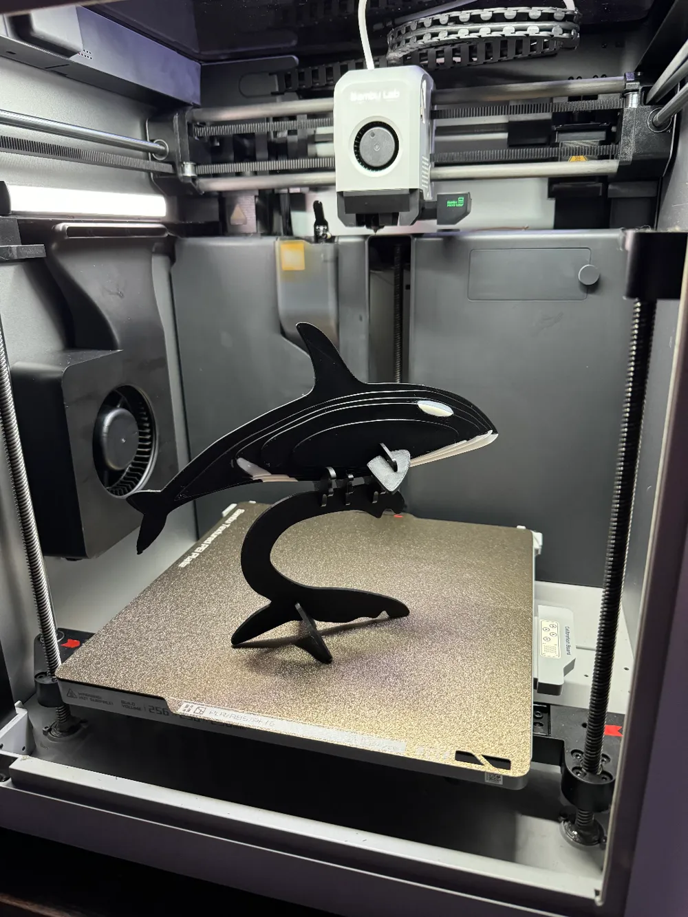 Orca Puzzle by MI3dPrint MakerWorld: Download Free 3D Models