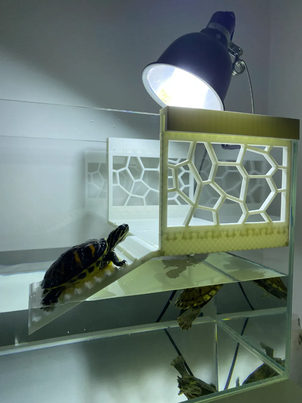 Turtle Platform by Emanuel Moniz MakerWorld: Download Free 3D Models