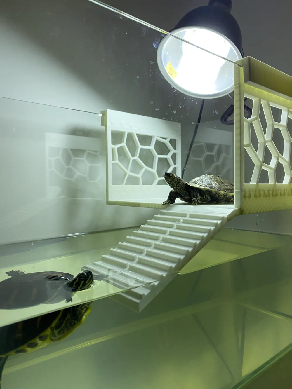 Turtle Platform by Emanuel Moniz MakerWorld: Download Free 3D Models