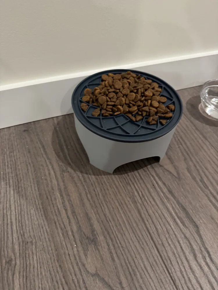 Doggy Food Stand - Free 3D Print Model - MakerWorld