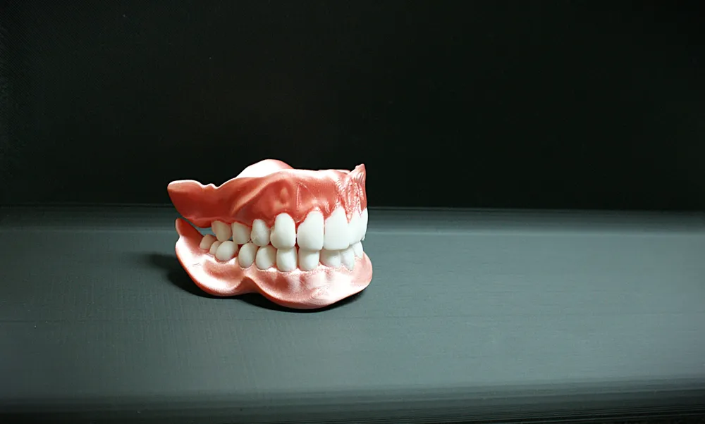 Denture by RaffNix3D MakerWorld: Download Free 3D Models