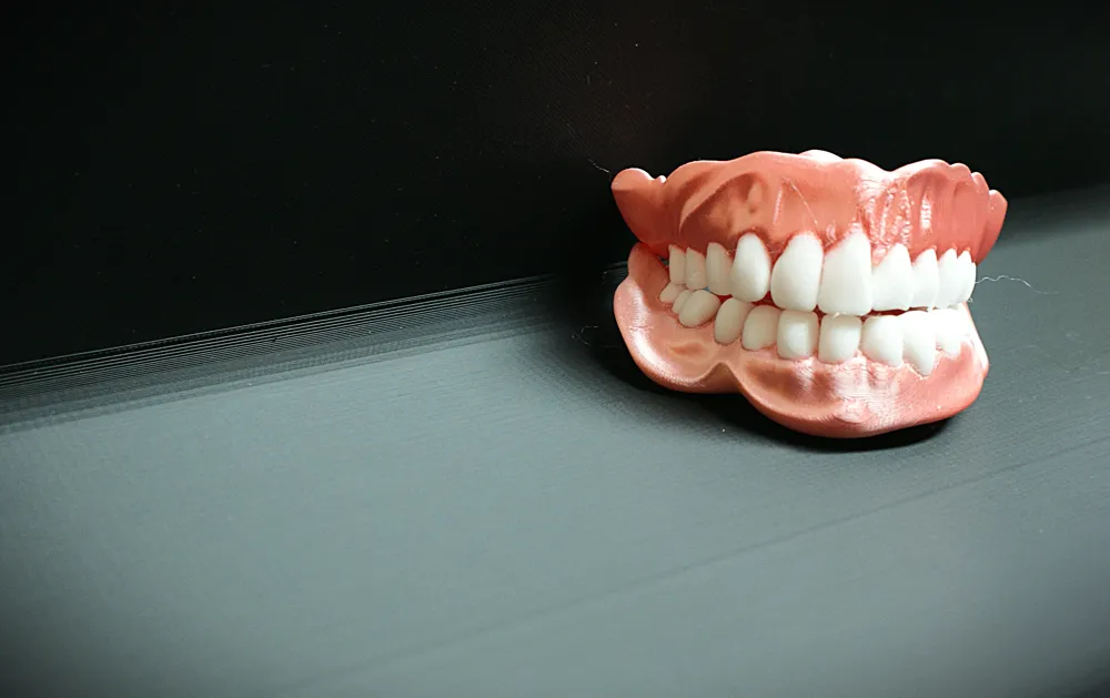 Denture by RaffNix3D MakerWorld: Download Free 3D Models