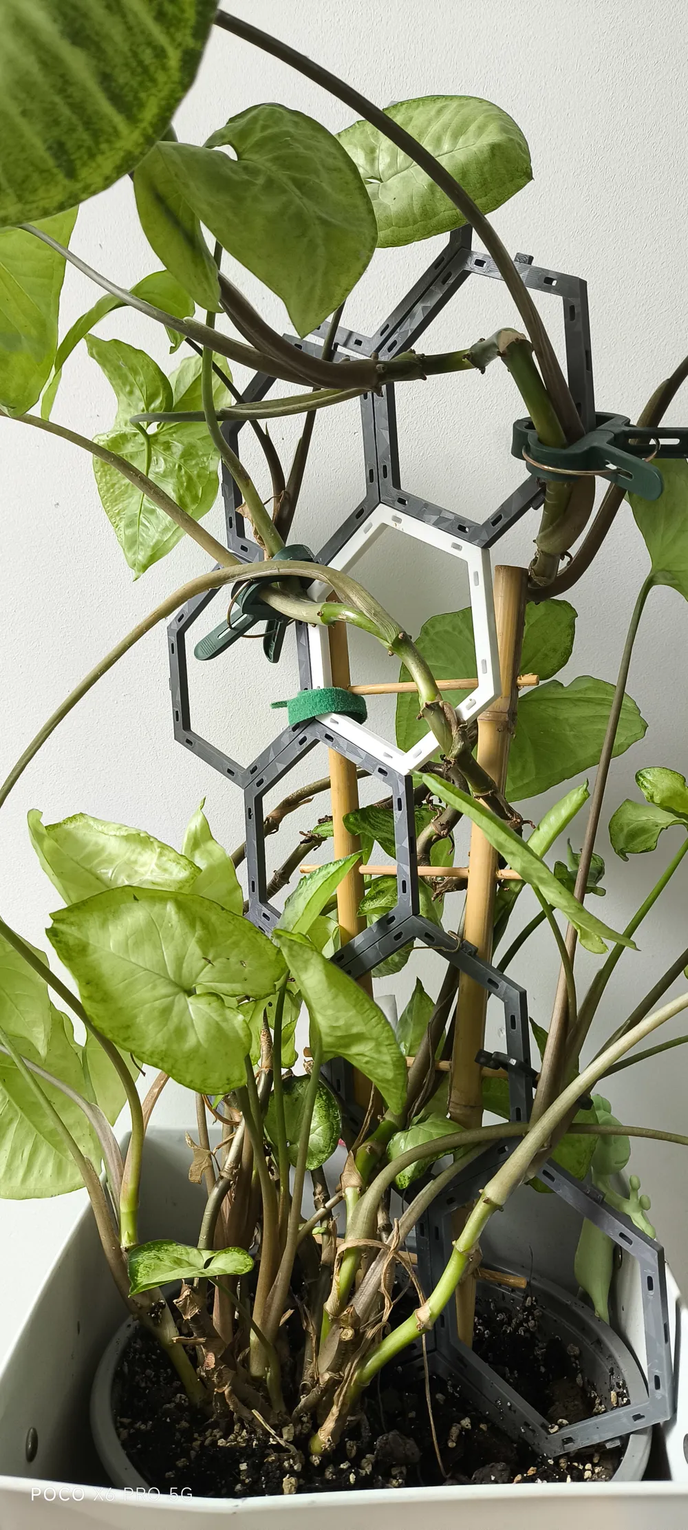 Plant Support Hexagonal 3D Printed Trellis by zalewskilu MakerWorld ...