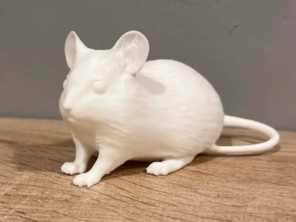 Mouse - Animal - Decor - Free 3D Print Model - MakerWorld