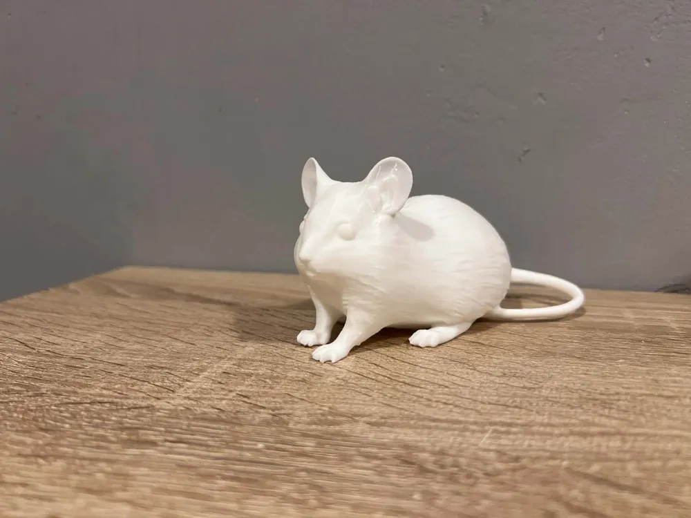 Mouse - Animal - Decor - Free 3D Print Model - MakerWorld
