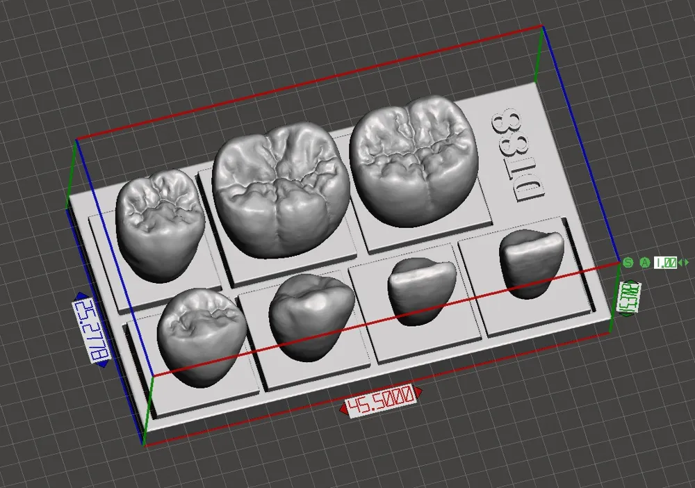 Mandibular Teeth (Display Model, Practice Model) - Free 3D Print Model ...