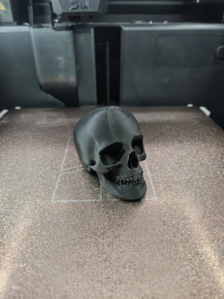 JACKSONVILLE JAGUARS SKULL by MoltenPlasticNuts MakerWorld: Download Free 3D Models