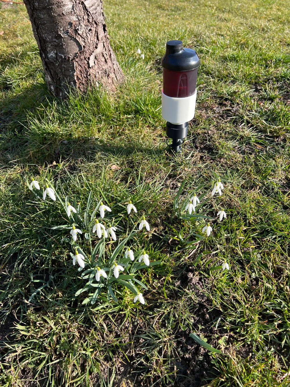 Porcelain Drink Holder (Holy Shaker) Auger by Ernaht88 - MakerWorld
