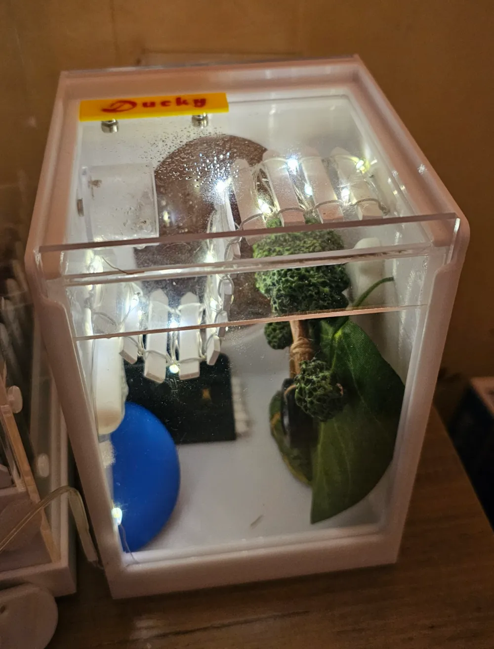 Jumping Spider Terrarium - Free 3D Print Model - MakerWorld