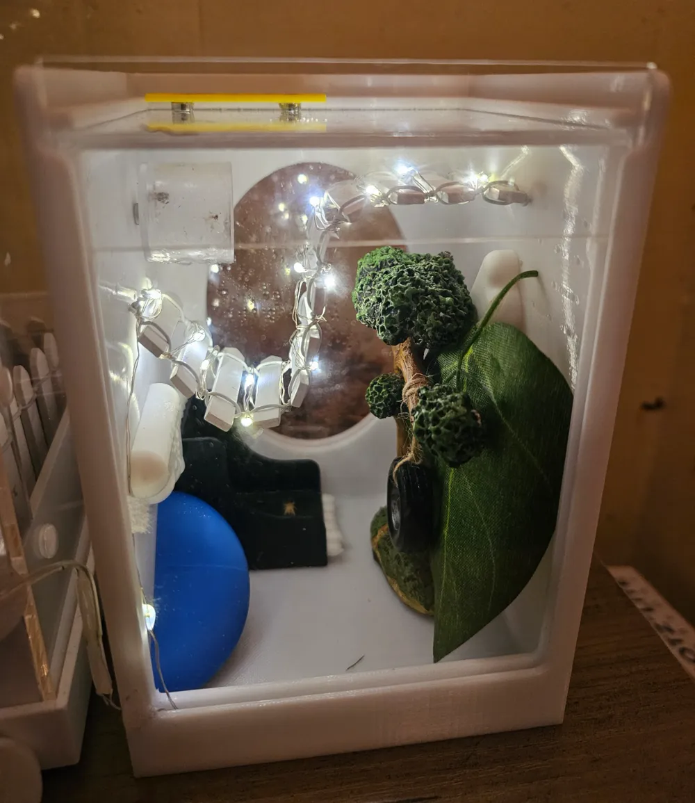Jumping Spider Terrarium - Free 3D Print Model - MakerWorld