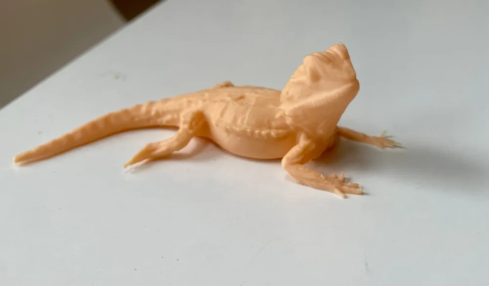 Bearded Dragon by FelixC MakerWorld: Download Free 3D Models