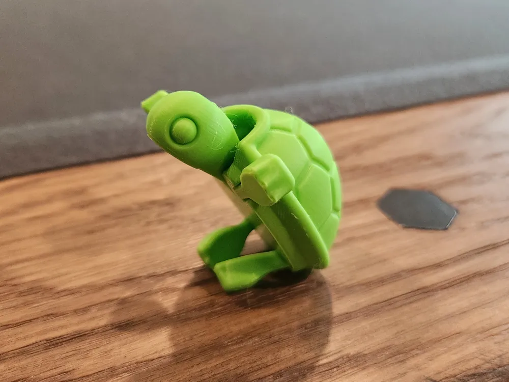 Cutie Baby Turtle by squinn - MakerWorld