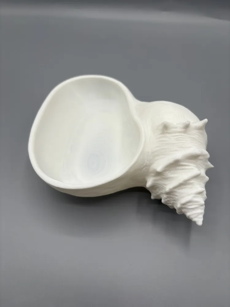 Conch Shell Catchall Tray Coastal Entryway Bowl by TheHexArtist ...