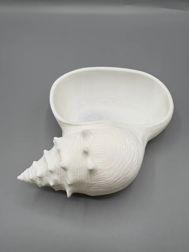 Conch Shell Catchall Tray Coastal Entryway Bowl by TheHexArtist ...