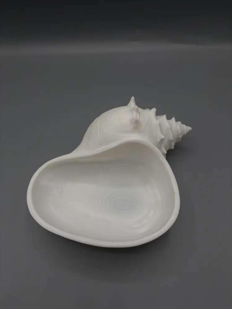 Conch Shell Catchall Tray Coastal Entryway Bowl by TheHexArtist ...