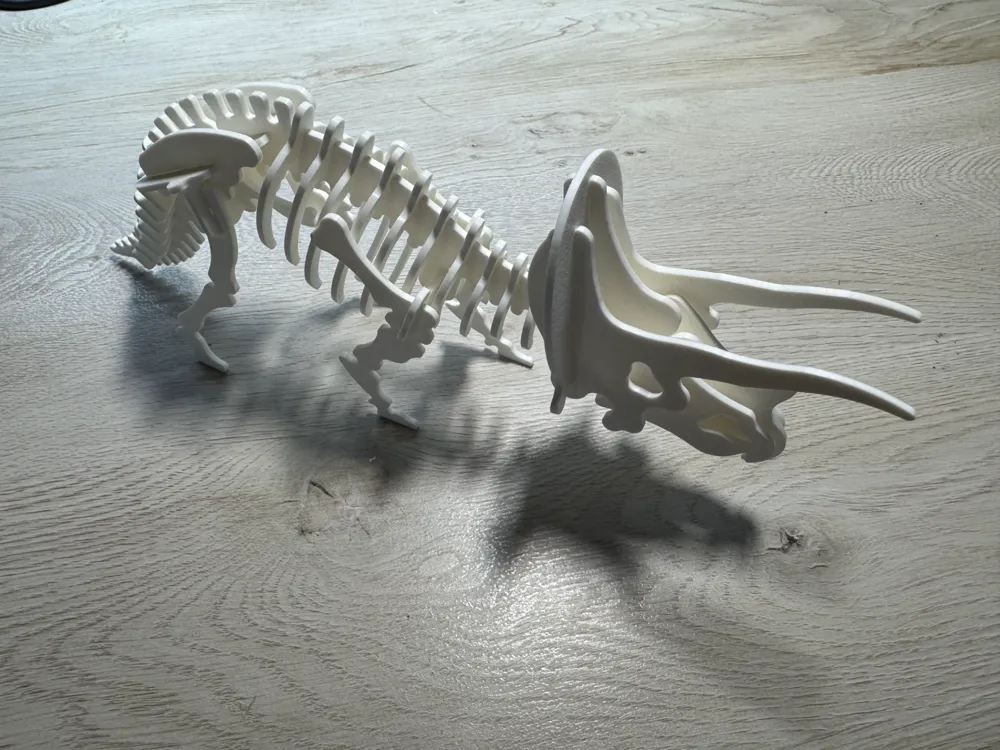 Triceratops Dinosaur Skeleton Puzzle - Free 3D Print Model - MakerWorld