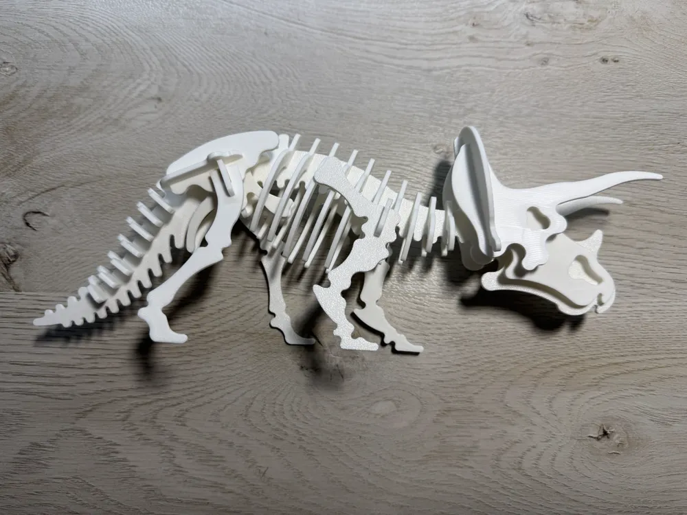Triceratops Dinosaur Skeleton Puzzle Remixed by Hef413 MakerWorld ...