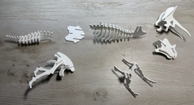 Triceratops Dinosaur Skeleton Puzzle Remixed by Hef413 MakerWorld ...
