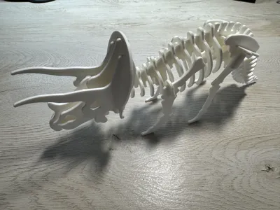 Triceratops Dinosaur Skeleton Puzzle Remixed by Hef413 MakerWorld ...