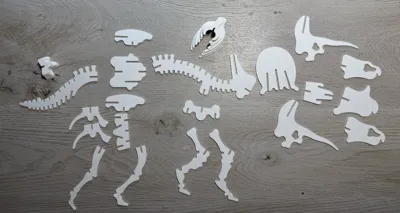 Triceratops Dinosaur Skeleton Puzzle Remixed by Hef413 MakerWorld ...