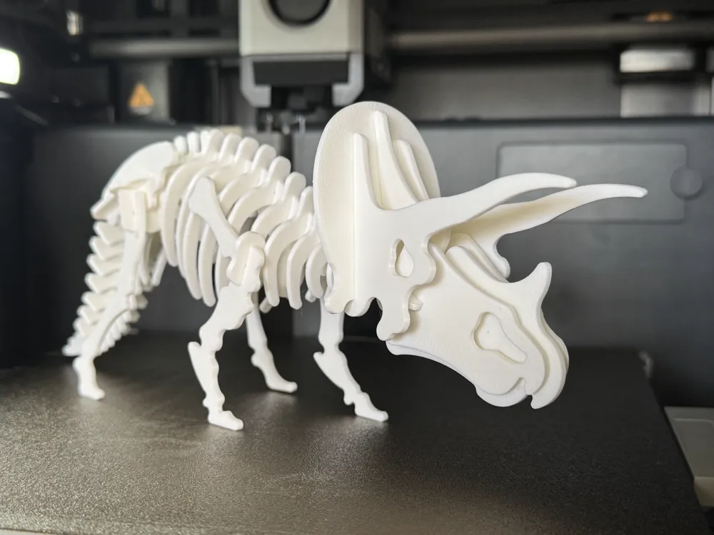 Triceratops Dinosaur Skeleton Puzzle Remixed by Hef413 MakerWorld ...