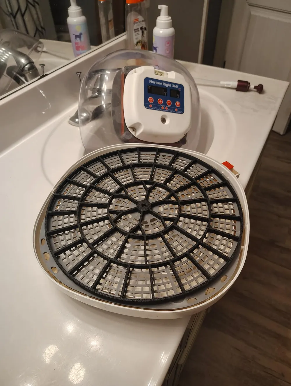 Nurture Right 360 incubator Quail egg tray - Free 3D Print Model ...