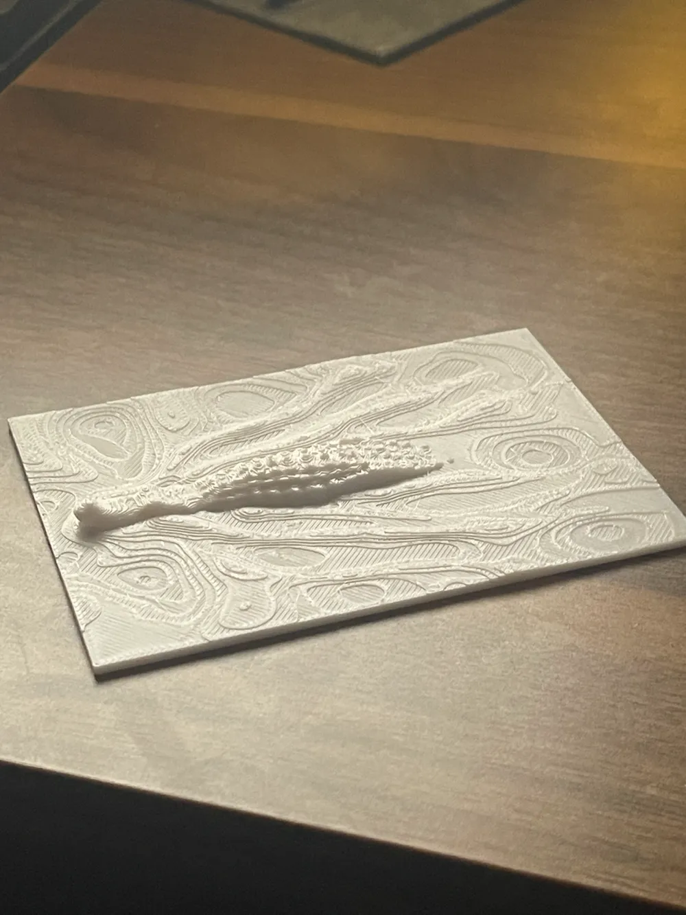 Swimming Crocodile Desk topper by C0bl3rG0bl3r - MakerWorld