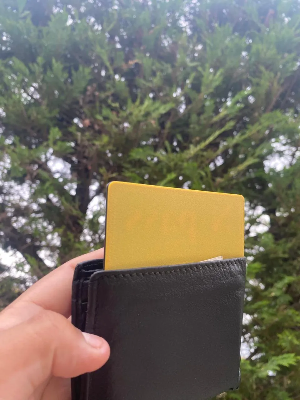 N-pass prank - Free 3D Print Model - MakerWorld