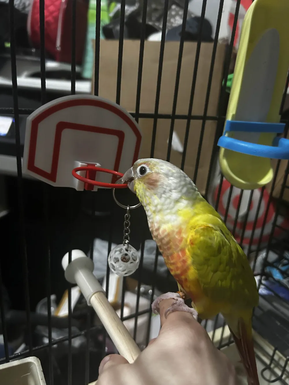 Screw-On Basketball Hoop Bird Toy! by Doodle - MakerWorld