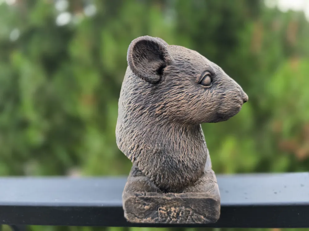RAT BUST by Messy_Panda MakerWorld: Download Free 3D Models