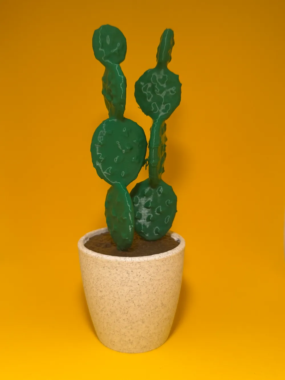 Cactus #1 - Plant - Flower - Cactus - Plant by cforms MakerWorld ...
