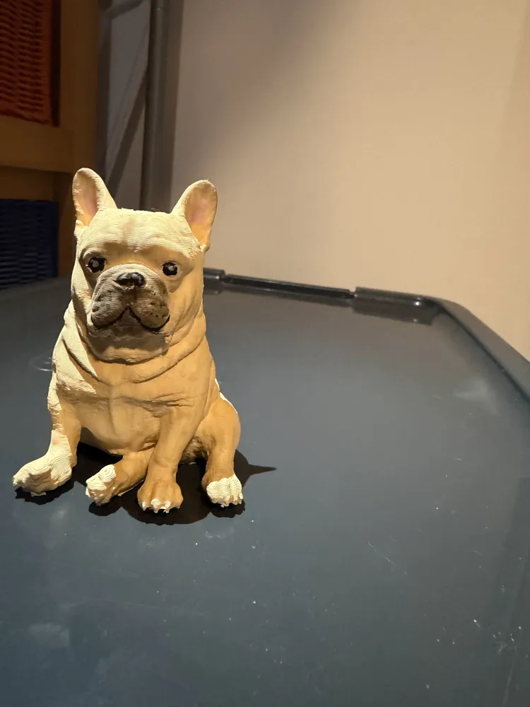 French Bulldog full body white canvas for drawing - Free 3D Print Model ...