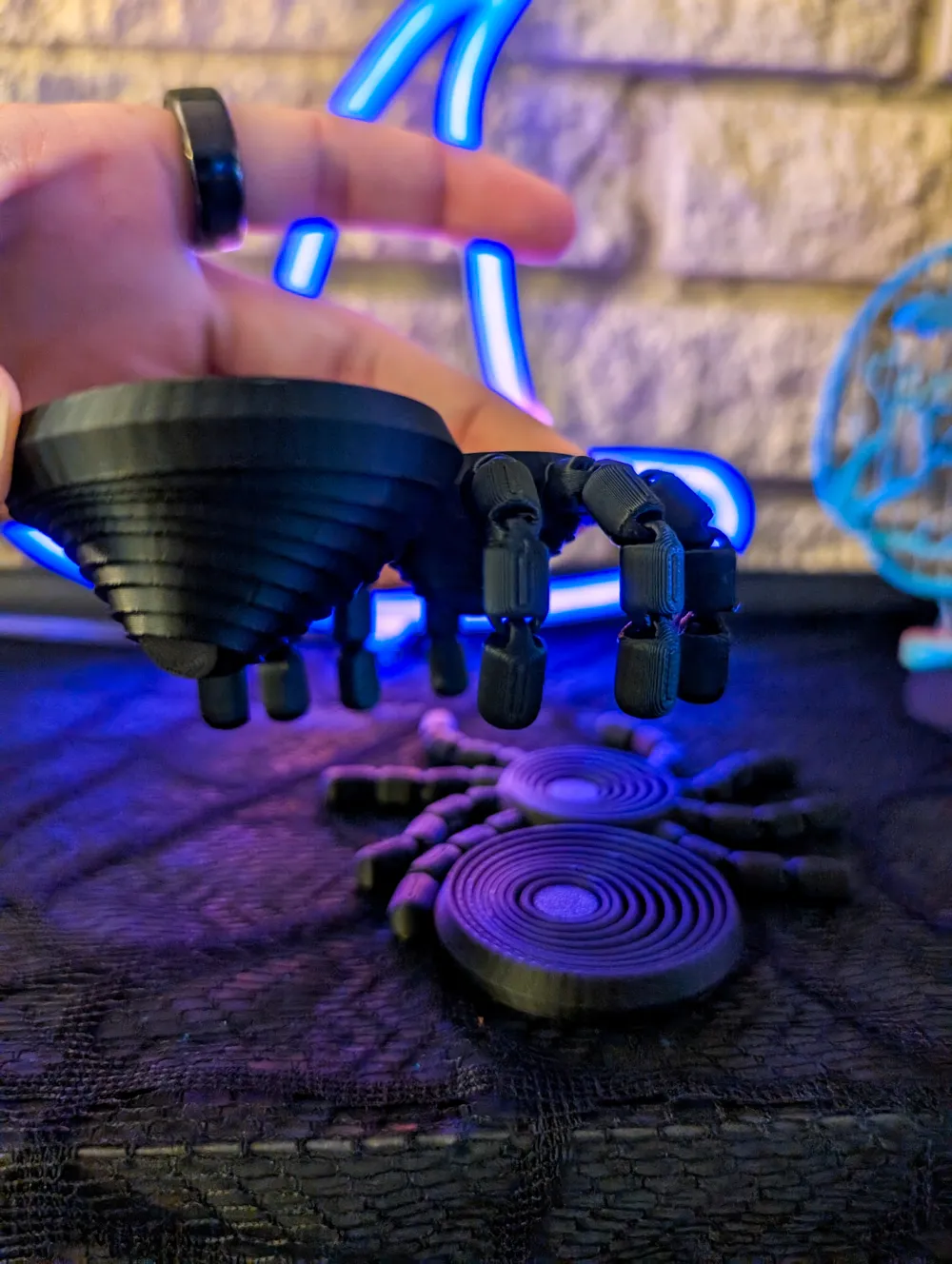 Halloween Spider Fidget Articulated by Raven MakerWorld: Download Free ...