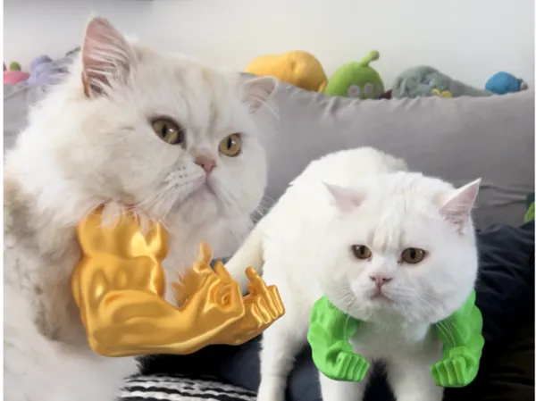 Wonderthing | Collections - MakerWorld