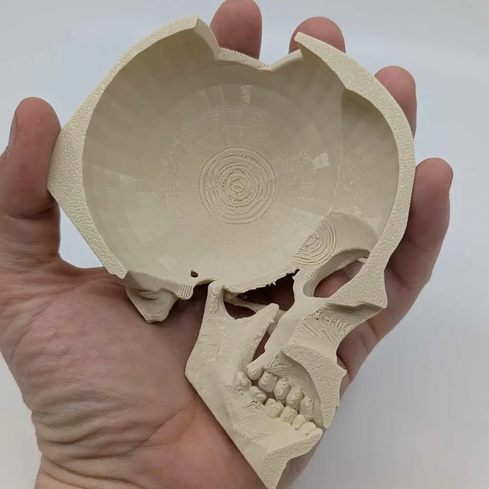 Side Skull Hide / Arachnid / Reptiles Remixed by SerendipitousBizz ...