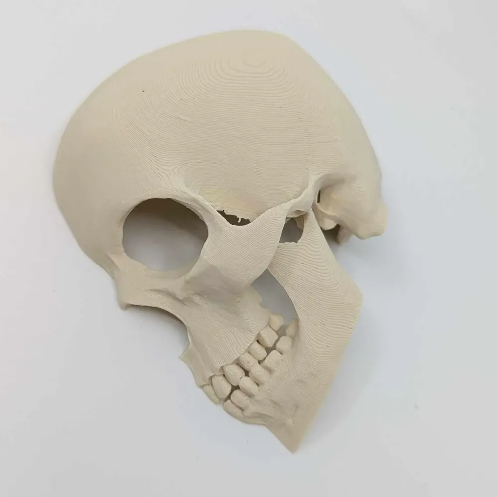 Side Skull Hide / Arachnid / Reptiles Remixed by SB MakerWorld ...