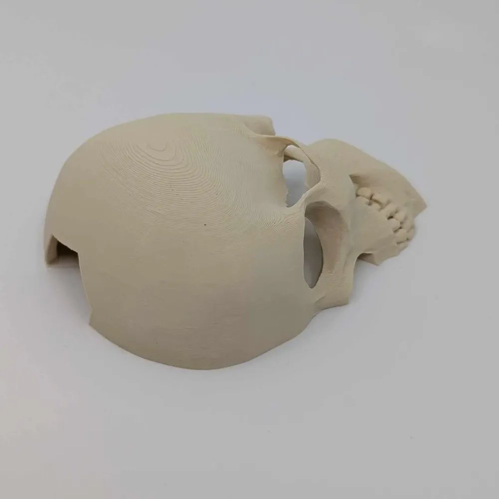 Side Skull Hide / Arachnid / Reptiles Remixed by SerendipitousBizz ...