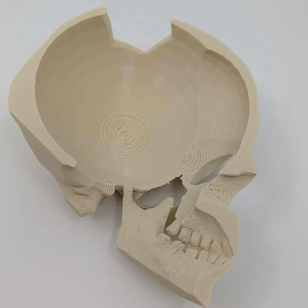 Side Skull Hide / Arachnid / Reptiles Remixed by SerendipitousBizz ...