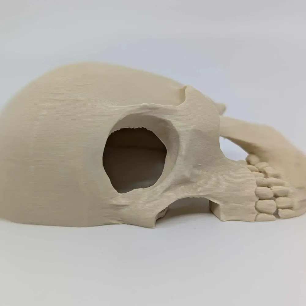 Side Skull Hide / Arachnid / Reptiles Remixed by SB MakerWorld ...