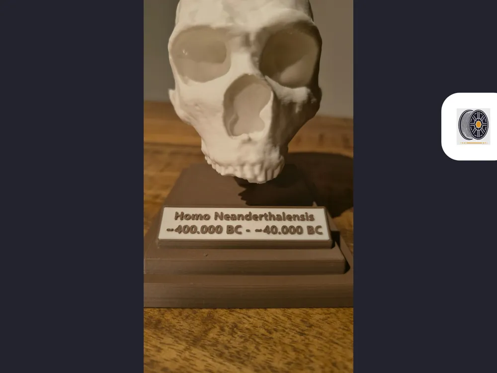 Skull_01 | Educational Neanderthal Skull Model by Mike.stl MakerWorld ...