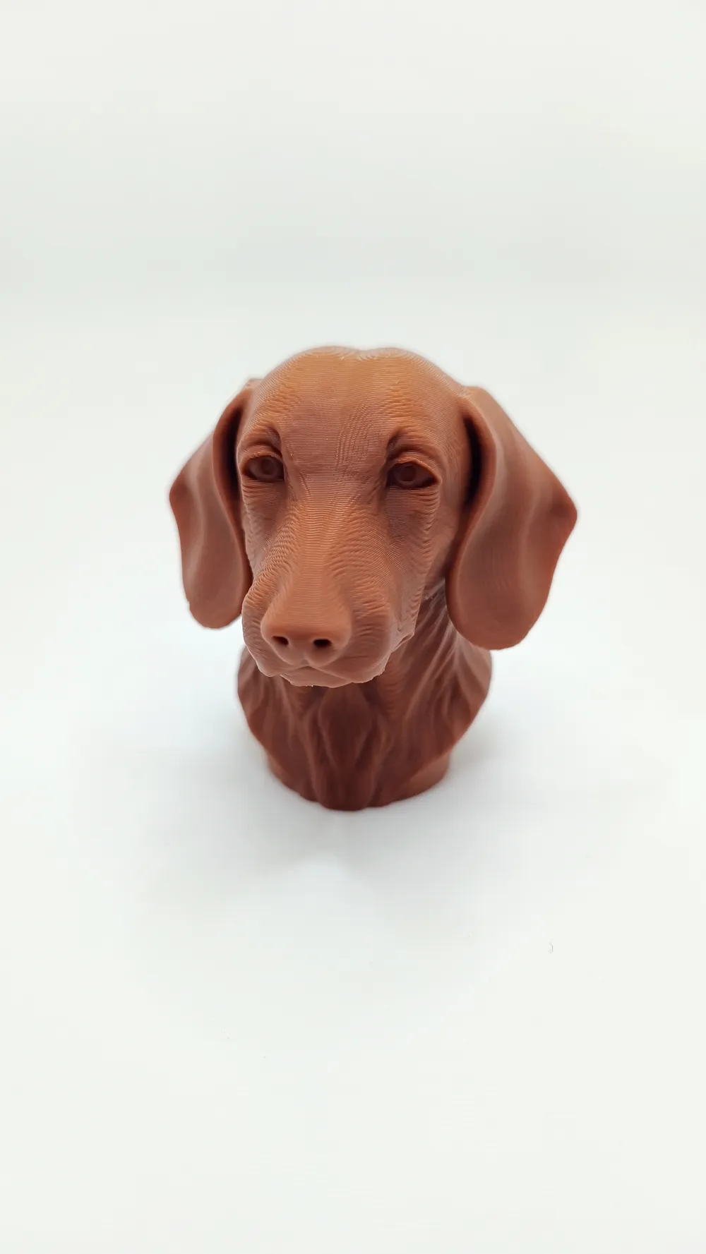 Loyal Hunting Dog – Noble Dachshund Bust by Go3D MakerWorld: Download ...