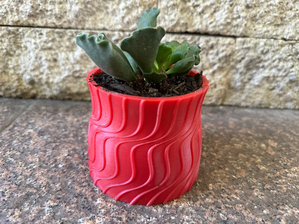 Plant Potter For Succulents / Pot / Container by MangoPrinter - MakerWorld
