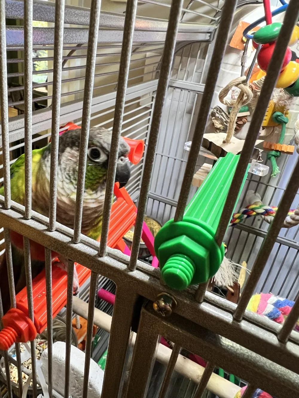 Bird Perch collection / Perchoirs pour oiseaux - Free 3D Print Model ...